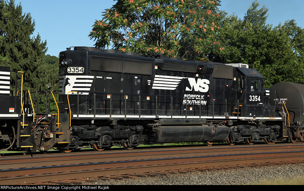 NS 3354